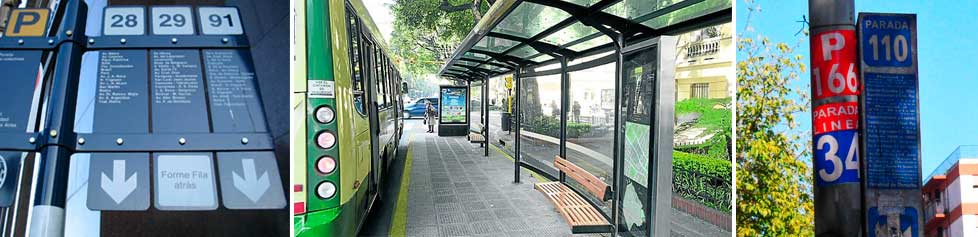 Cómo moverse en Buenos Aires: Tips seguros! | Buenos Aires Free Walks