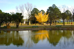 Parque de la Ciudad | Buenos Aires Free Walks