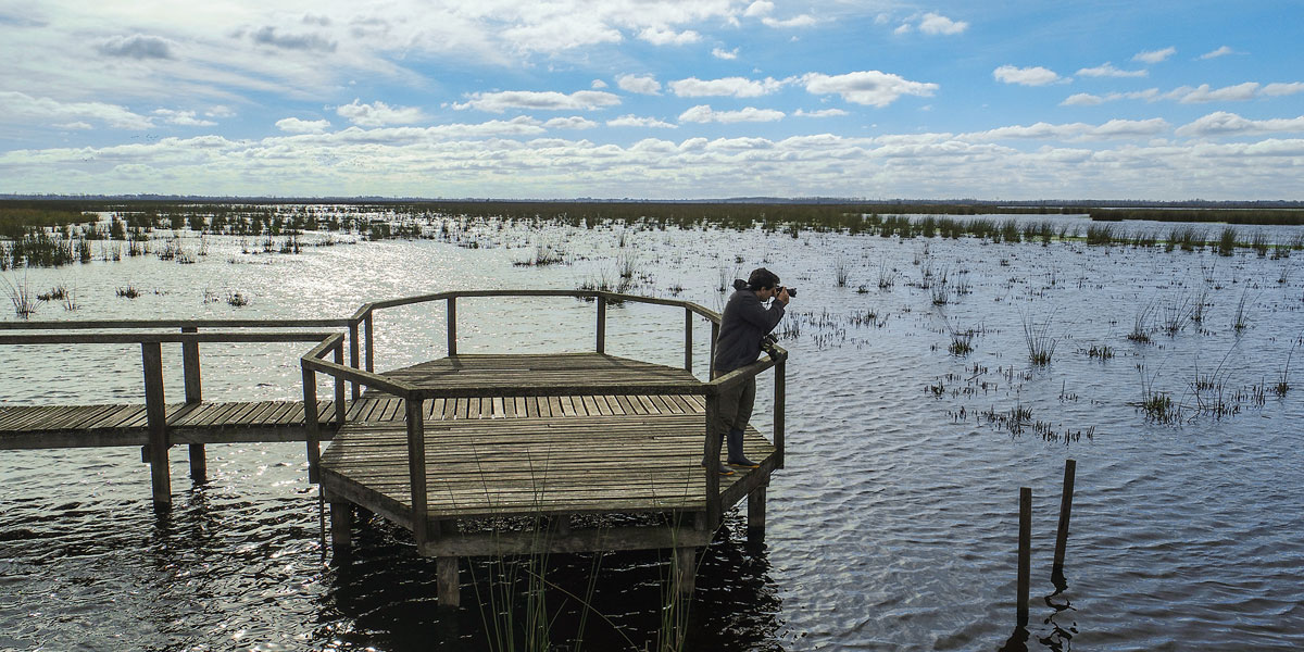 Parques y Reservas Naturales | Buenos Aires Free Walks